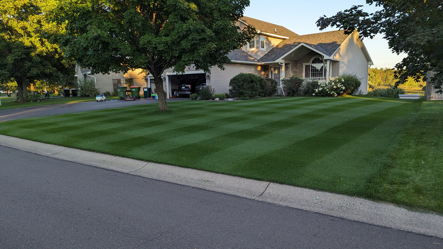 Blog – LAWN LIFE