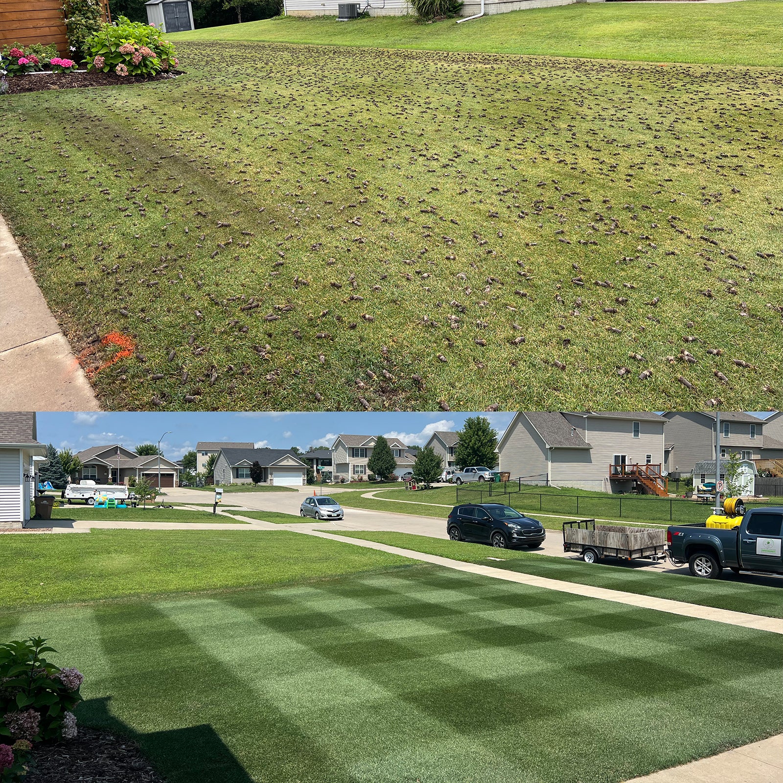 Before and After Results – LAWN LIFE