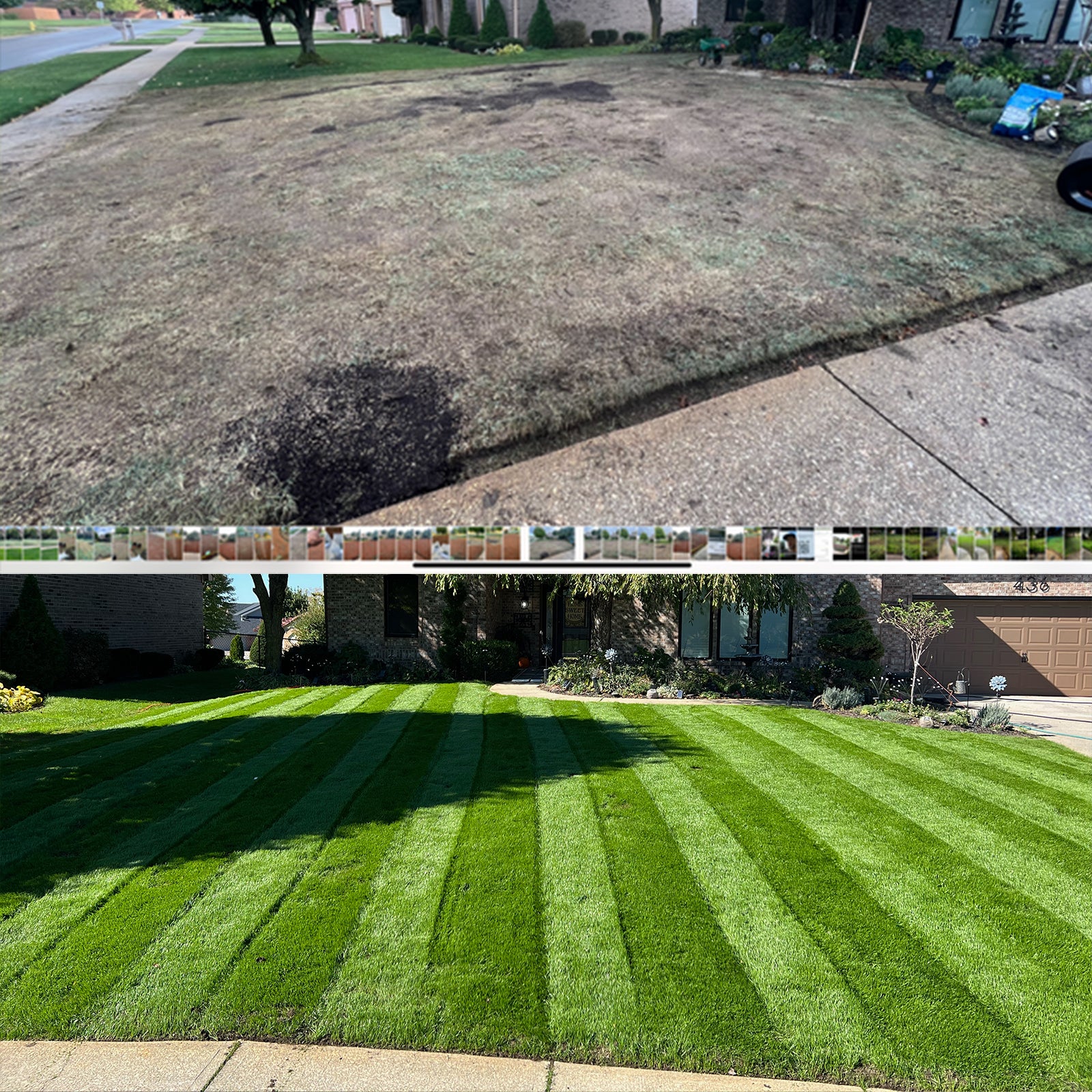 Before and After Results – LAWN LIFE