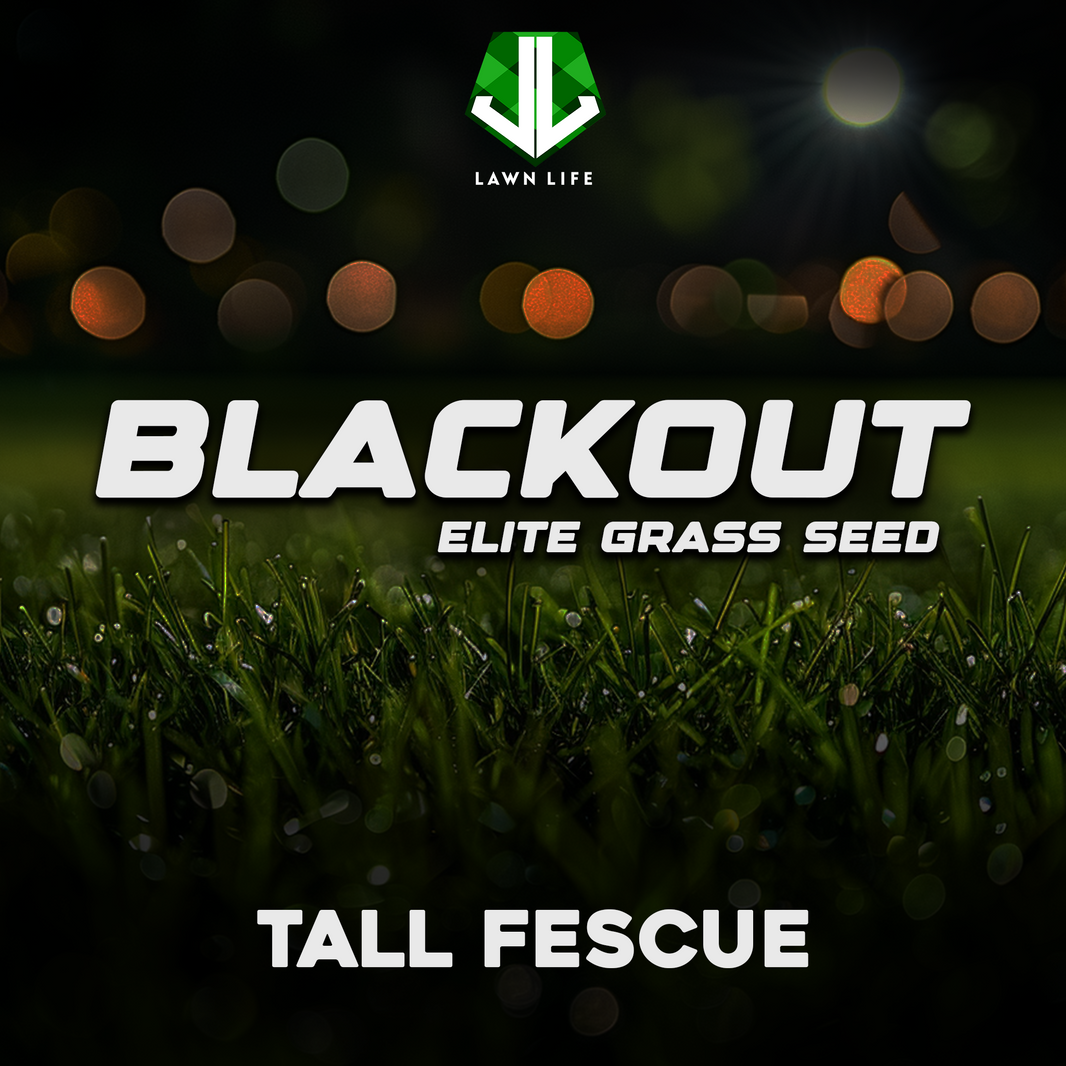 BLACKOUT Grass Seed – LAWN LIFE